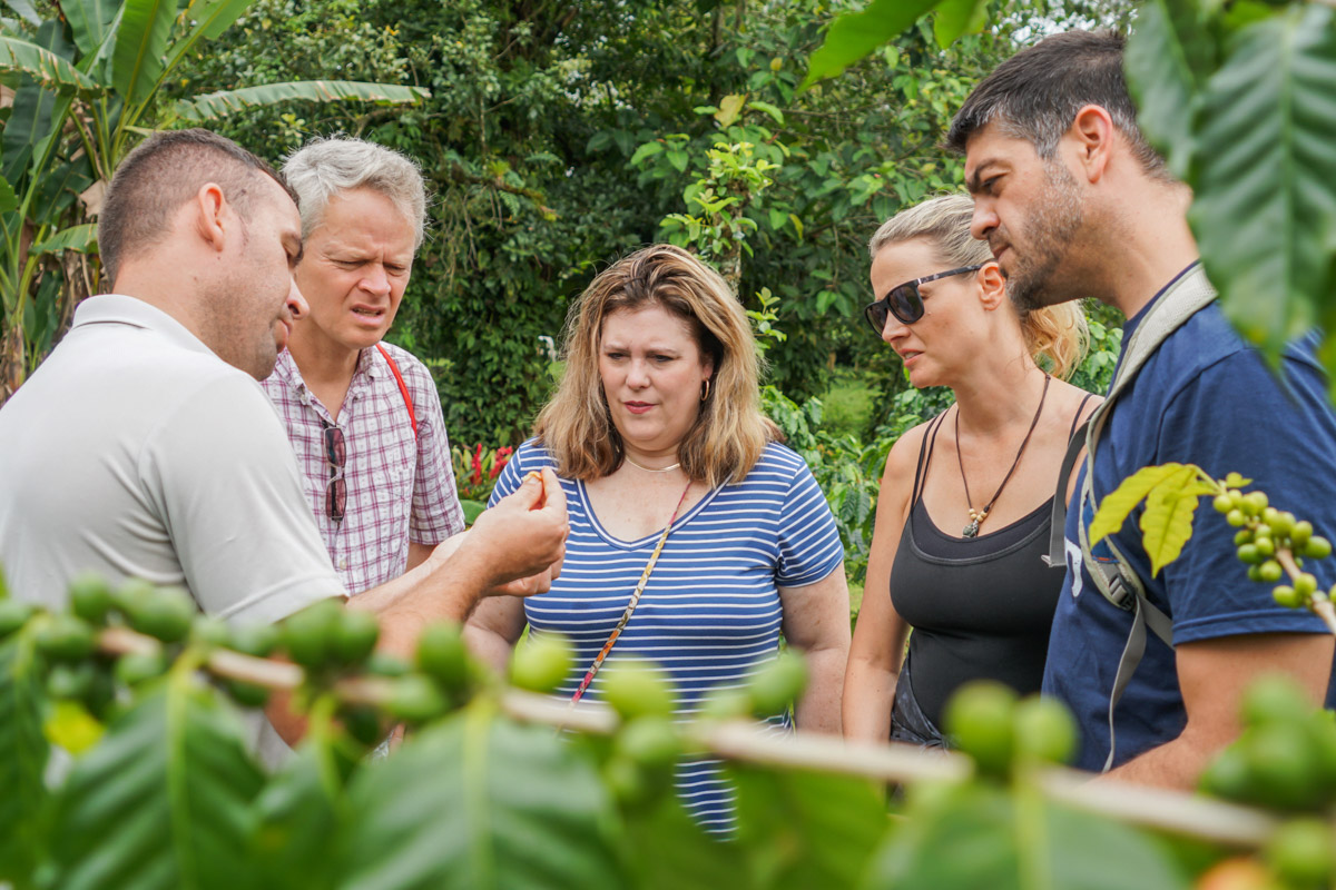 Tour – Northfields