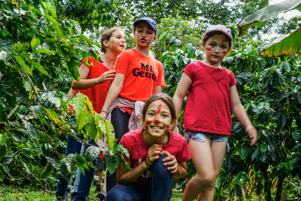 Tour – Northfields