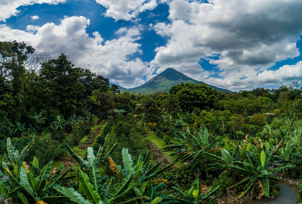 Gallery – Northfields