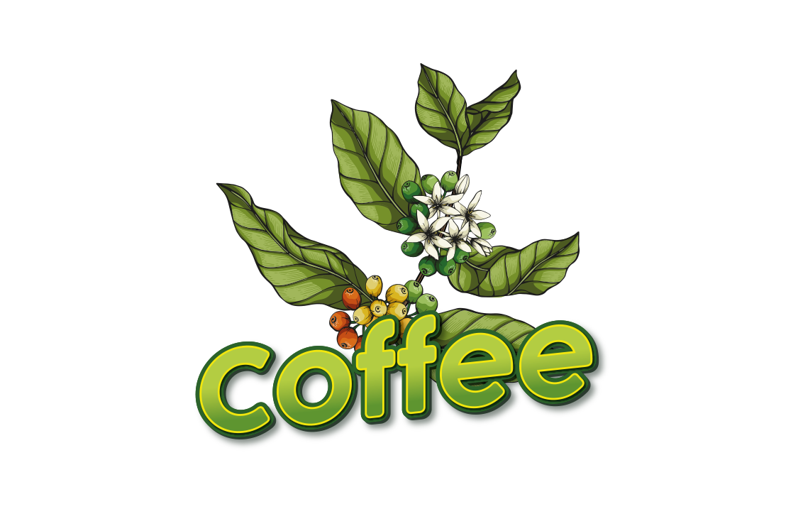 Northfields – Costa Rica