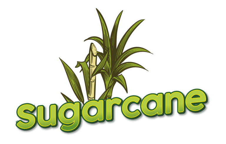 Tour – Northfields